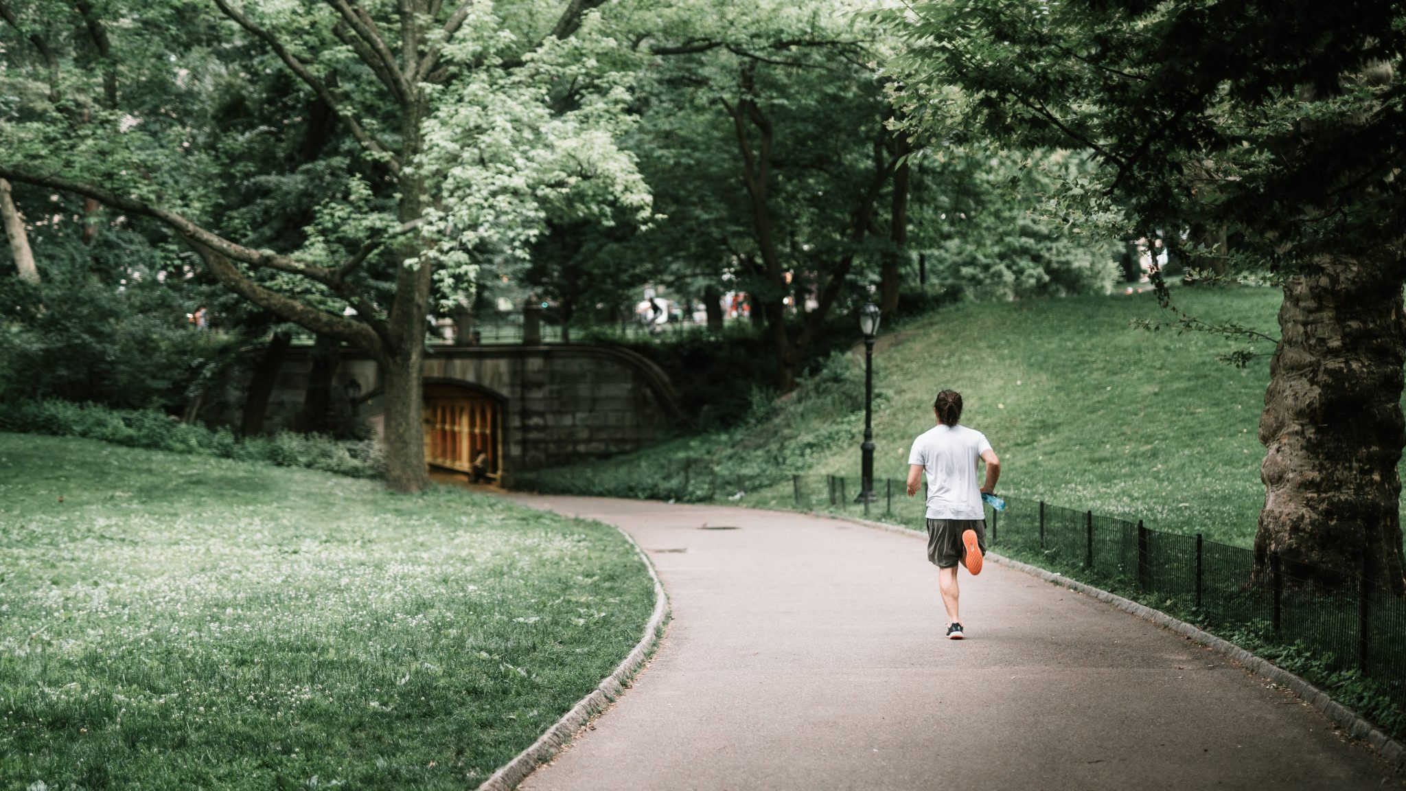 Hal Higdon’s Half Marathon Training Schedule: Your Guide